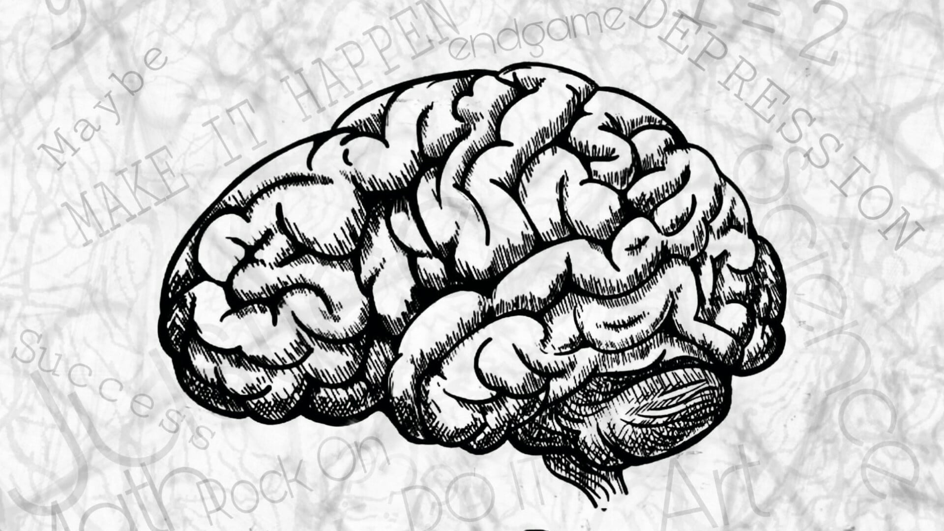 Midbrain Activation Workshop for Children – Midbrain Activation and DMIT